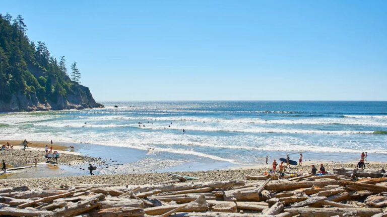 Portland to the Redwoods 🌲 | Ultimate Road Trip Itinerary with Must-See ...