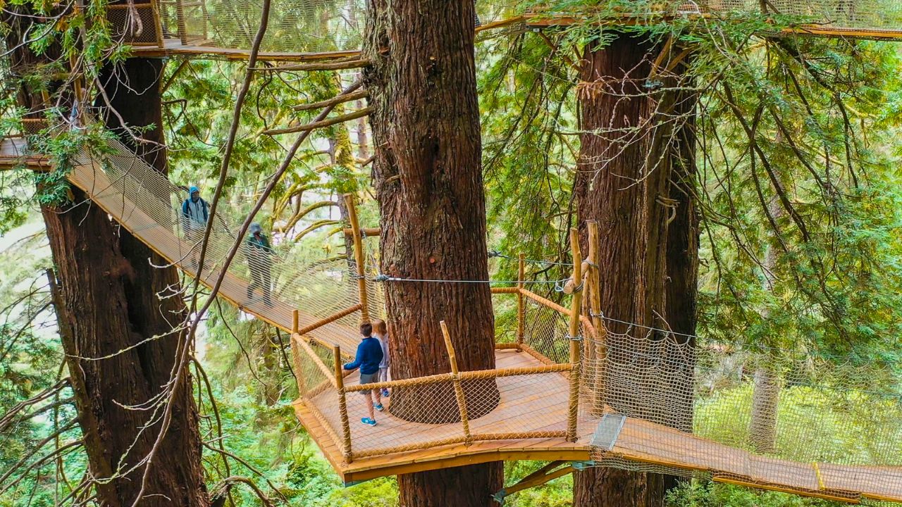Portland to the Redwoods 🌲 | Ultimate Road Trip Itinerary with Must-See ...