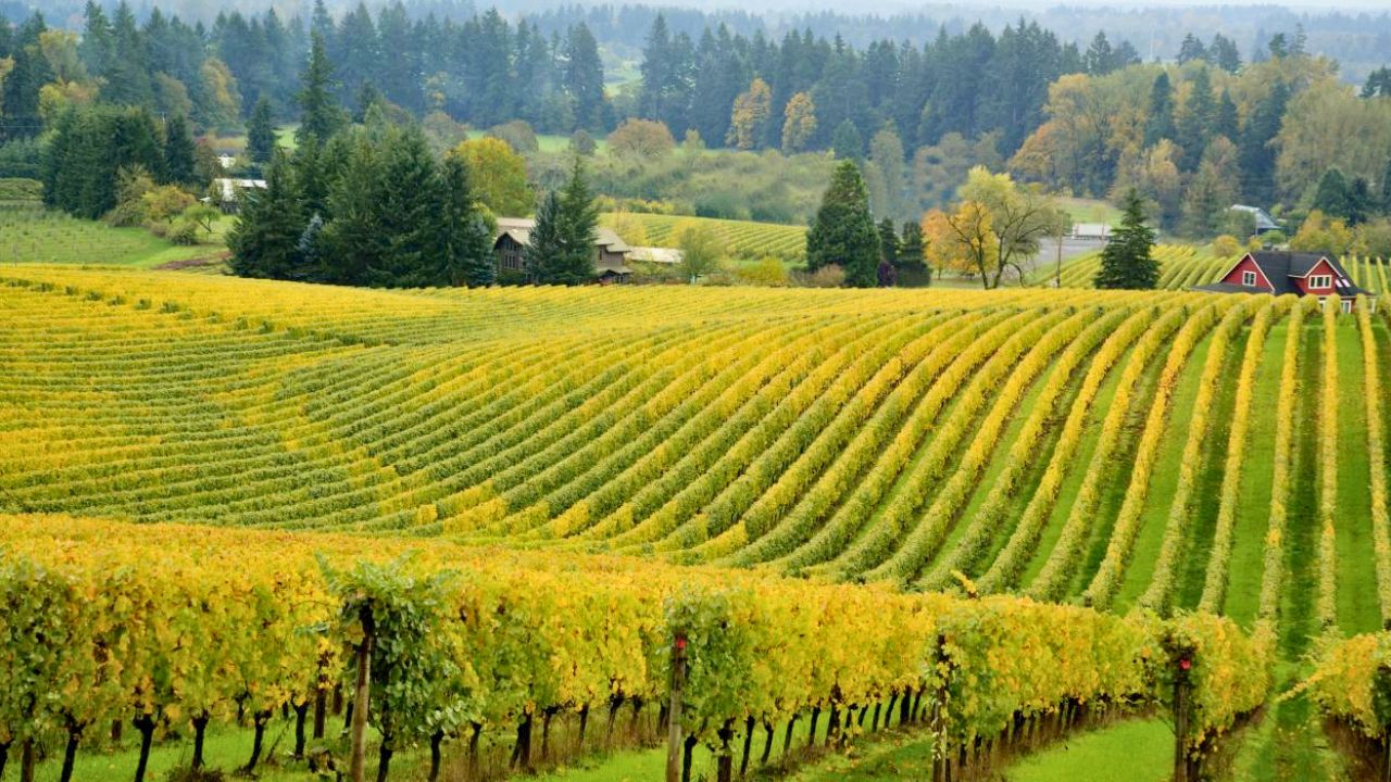 Portland to the Redwoods 🌲 | Ultimate Road Trip Itinerary with Must-See ...